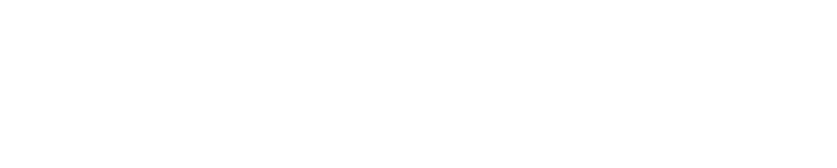 Mein Delitzsch – Eine weitere WordPress-Website